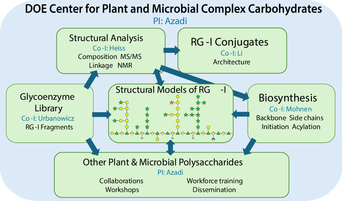 DOE Center for Plant and Microbial Complex Carbohydrates - Complex ...